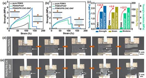 南开大学梁嘉杰教授团队 Nano Lett：一种高分子材料增强增韧的新策略中国聚合物网科教新闻