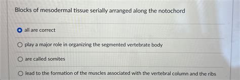 Solved Blocks Of Mesodermal Tissue Serially Arranged Along