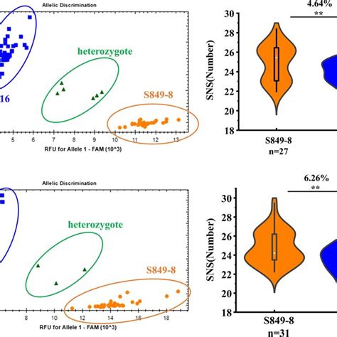 Validation Of Major Qtl In Different Genetic Backgrounds Effects Of
