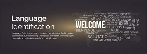 Enhance Multilingual Communication Transflow