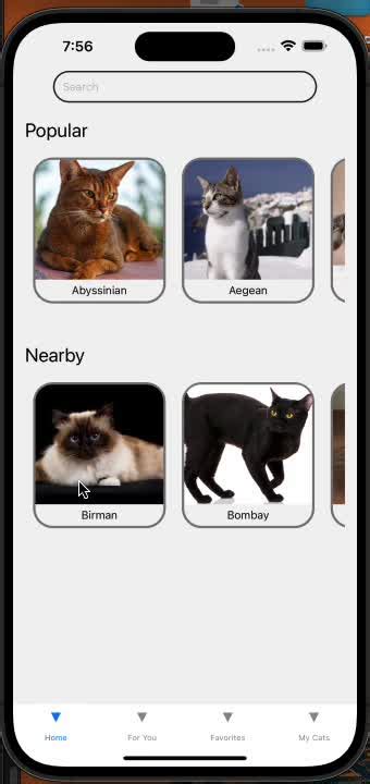 Viet Nguyen On Linkedin Reactnative React Cats Softwareengineer Softwaredevelopment Ios