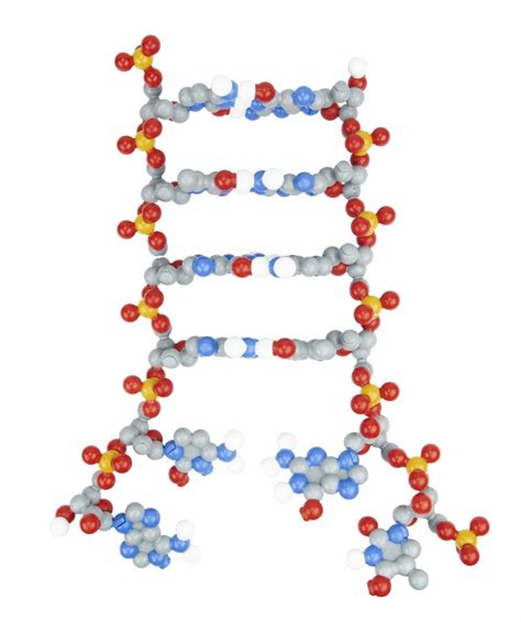 Science Teachers And Tvis Enhance Your Molecular Biology Lessons With