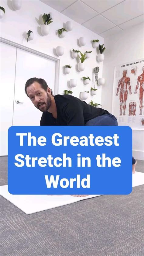 Worlds Greatest Stretch 🌍 Quick Stretch Routine Best Full Body Stretches 5 Minute Stretch