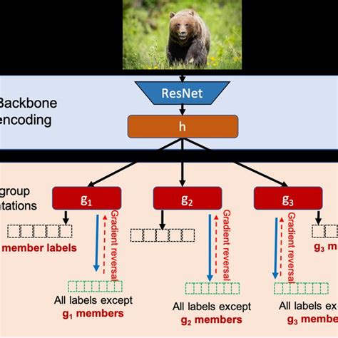 Proposed Model Architecture For A Attribute Prediction Task And B Download Scientific