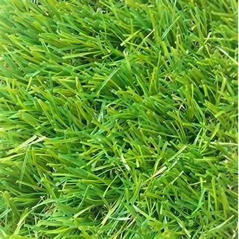 Full Sun Exposure Natural Lawn Grass For Garden At Rs 15piece In Noida