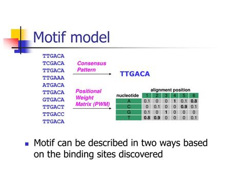 Ppt Algorithms In Bioinformatics A Practical Introduction Powerpoint