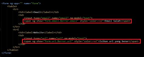 Cara Membuat Validasi Form Input Dengan Angularjs