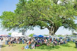 Newell In 15 Years New Orleans Lost 20 Of Its Tree Canopy Our Next