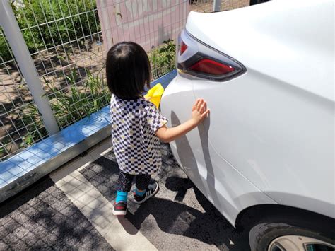 조기교육의 필요성 포텐 터짐 최신순 에펨코리아
