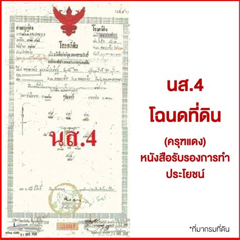 5 โฉนดที่ดิน น ส 4 ครุฑแดง Interhomeproperty นายช่างผู้ปลูกเรือน บ้านใจดีอินเตอร์โฮม