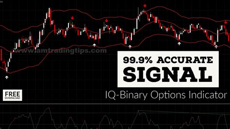 99 9 accurate signal indicator iq binary options trading ~ am