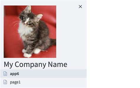 python put logo and title above on top of page navigation in sidebar of streamlit multipage