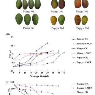 Effects Of 1 MCP Treatment On Fruit Appearance A CIE A B And Download Scientific Diagram
