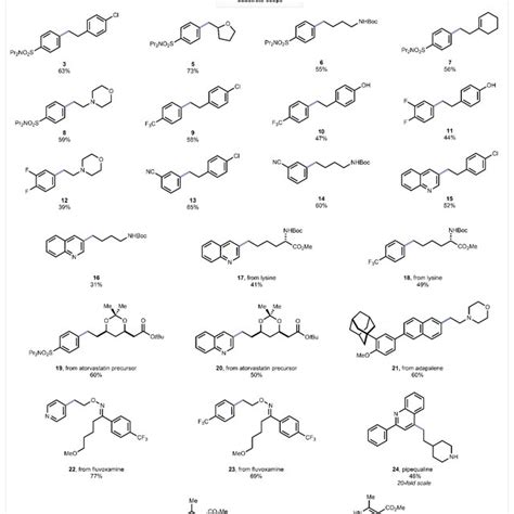 Substrate Scope Of Csp 3 Csp 2 Coupling Of N Acyl Glutarimides