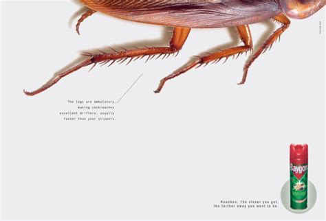 View Baygon Ad By Giovanni Draftfcb Rio De Janeiro Lürzers Archive