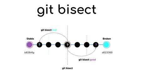 Perform A Git Bisect To Find A Bug A Step By Step Guide