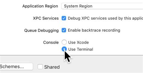 Ios Cant Find The Output To Terminal Option Anymore In Xcode 8 2 Stack Overflow