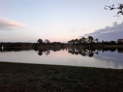 Sunset Reflection Stock Image Image Of Tree Nature 233300991