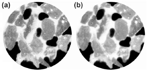 Application Of The Anisotropic Diffusion Filter To An 8 Bit Download Scientific Diagram