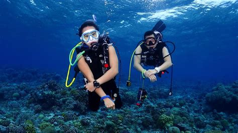 Dive Deeper With Advanced Owd In Lombok With Padi 5 Star Dive Center