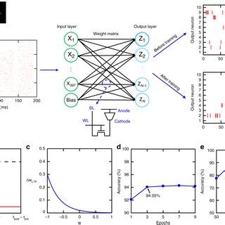 Neural Network For Unsupervised Learning A Each Input Digit Contains Download Scientific