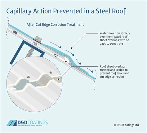 Water Capillary Action