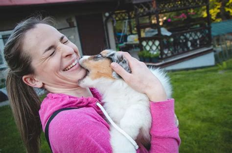 Why Does My Aussie Bite So Much 7 Reasons And 3 Bite Types