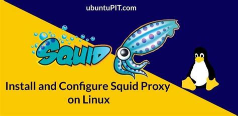 Comment Installer Et Configurer Squid Proxy Sur Le Système Linux Tech Tribune France