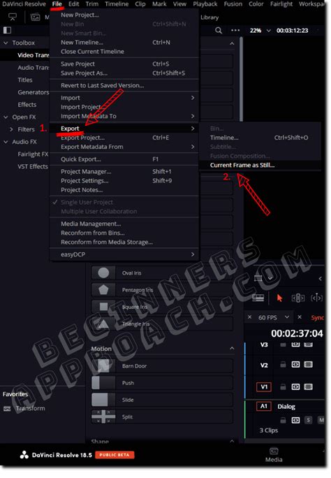 How To Export Frame In Davinci Resolve Still Image 2025