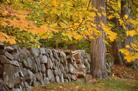 10 Elements Of A New England Village In Fall The Front Door Project
