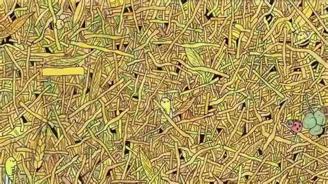 can you spot a needle in haystack in 10 seconds only 1 sharpest pair
