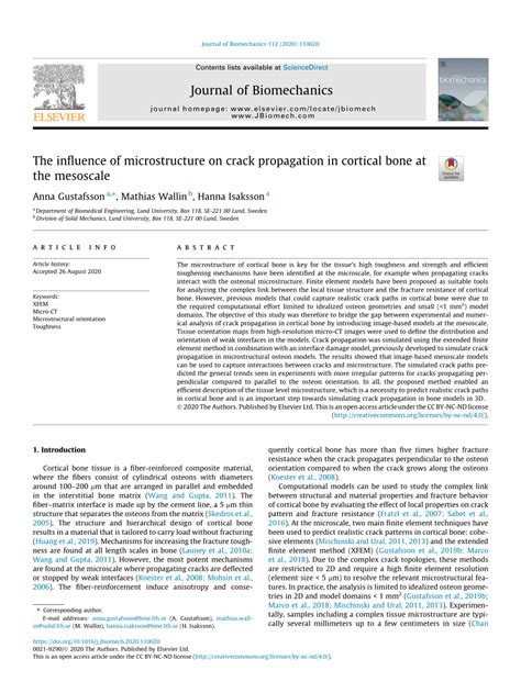 Pdf The Influence Of Microstructure On Crack Propagation In Cortical Bone At The Mesoscale