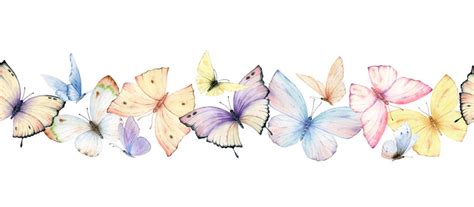 Clipart Flowers And Butterflies Border