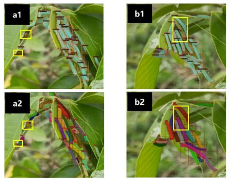 Examples Of Mis Segmentation A1 Segmentation Result Of Only The Download Scientific Diagram
