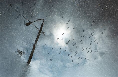 비 후 아스팔트의 웅덩이에 날아다니는 새와 고전압 기둥이 있는 거리의 반사 추상 사진 0명에 대한 스톡 사진 및 기타 이미지 0명 거리 거친 Istock