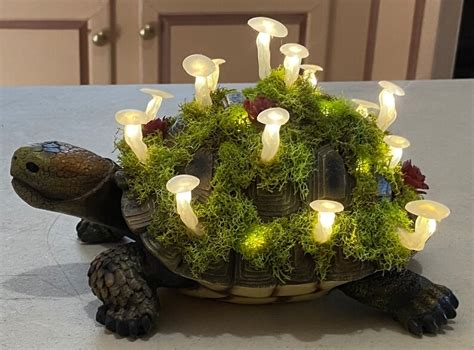 Mushroom Turtle Etsy