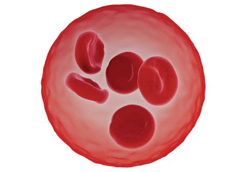 Direct Flow Reverse Osmosis Pi Power Compact