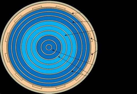 Ring Model Radial Representation Download Scientific Diagram