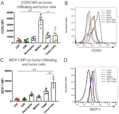 Figure 1 From The Ccr2 Mcp 1 Chemokine Pathway And Lung Adenocarcinoma Semantic Scholar
