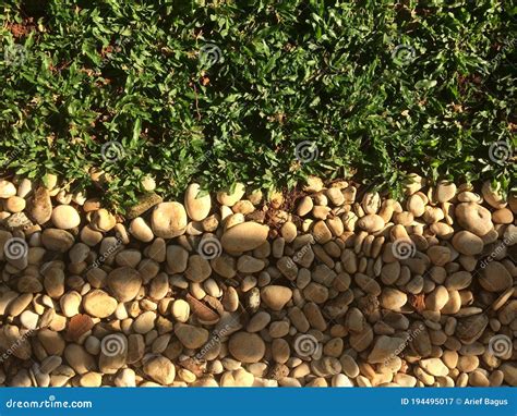 Grass And Pebbles Ground Texture Royalty Free Stock Image