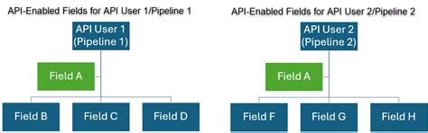 Configuring Api Enabled Fields