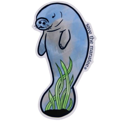 Watercolor Manatee Vinyl Sticker Manatees R Us By Save The Manatee Club