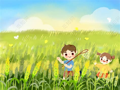 卡通手绘24节气小满夏天稻田插画素材免费下载 觅知网