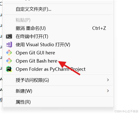 从阿里云云效下载代码到本地 Csdn博客