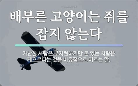 속담 배부른 고양이는 쥐를 잡지 않는다