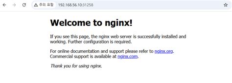 Provisioning Nginx Standalone