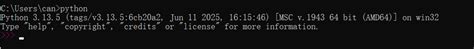 Python环境配置成功，但vscode无法初始化设备 Prn Csdn博客