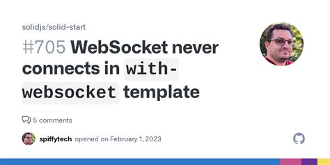 Websocket Never Connects In `with Websocket` Template · Issue 705 · Solidjssolid Start · Github