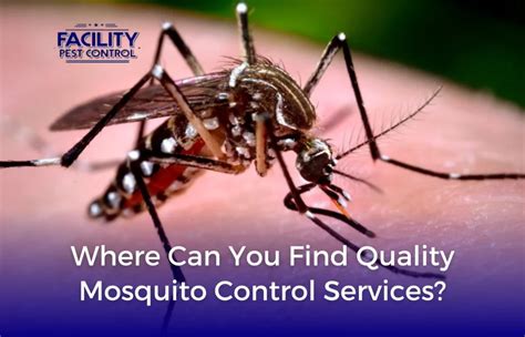 How To Control Pests In Your Commercial Building Facility Pest Control