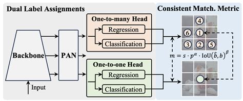 Fine Tuning YOLOv Models On Custom Dataset